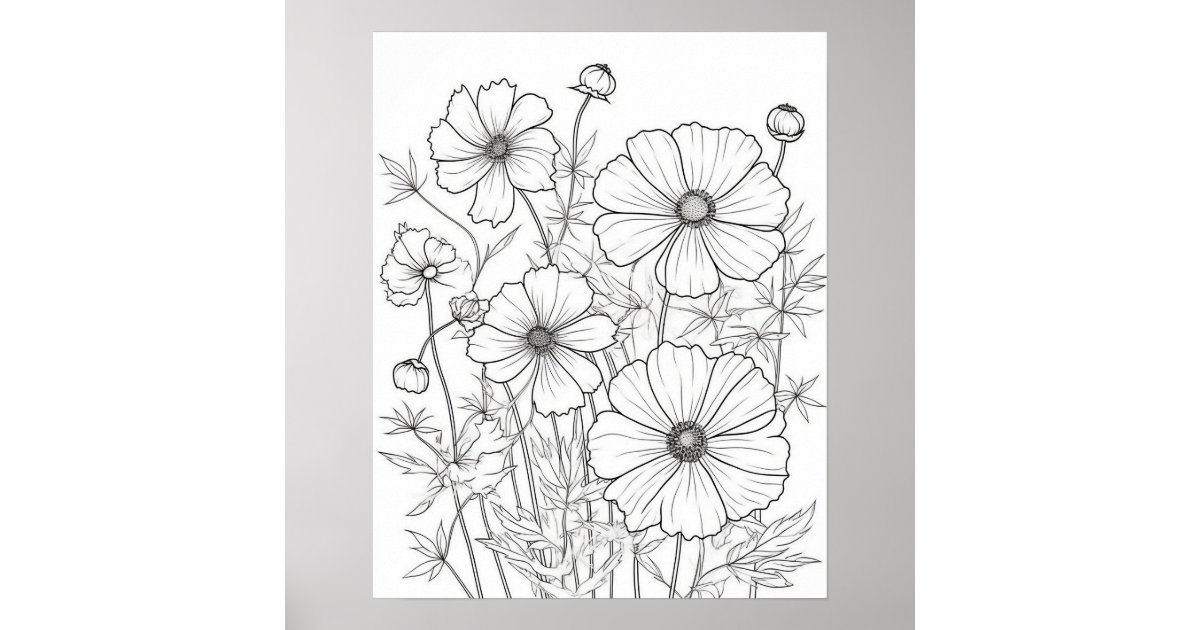 Cosmos Flowers Coloring Poster for Adults | Zazzle
