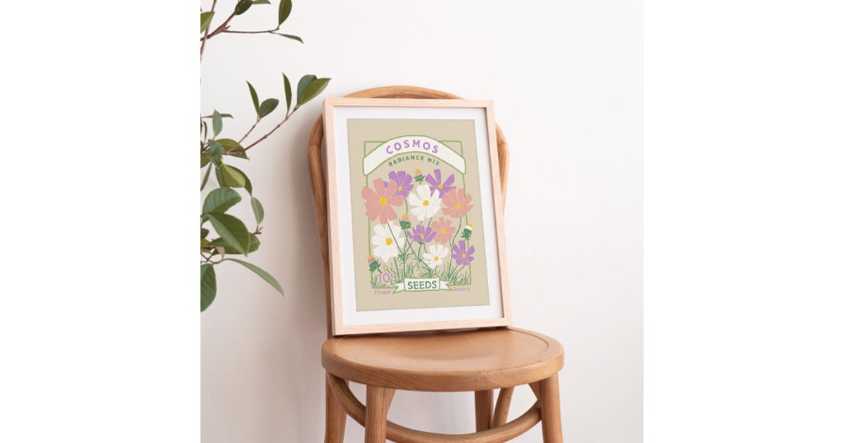 Cosmos Flowers Seed Packet Poster | Zazzle