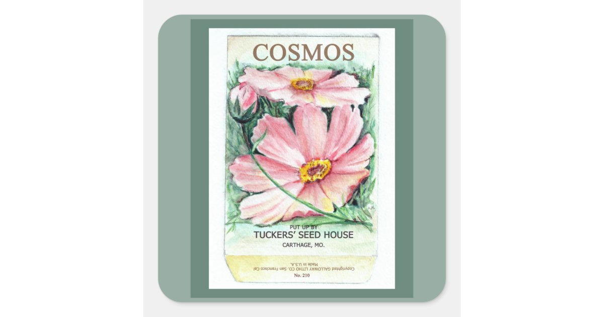 Cosmos Seed Packet Square Sticker | Zazzle