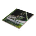 Costa Rica - Male Emerald Basilisk Lizard Ceramic Tile | Zazzle