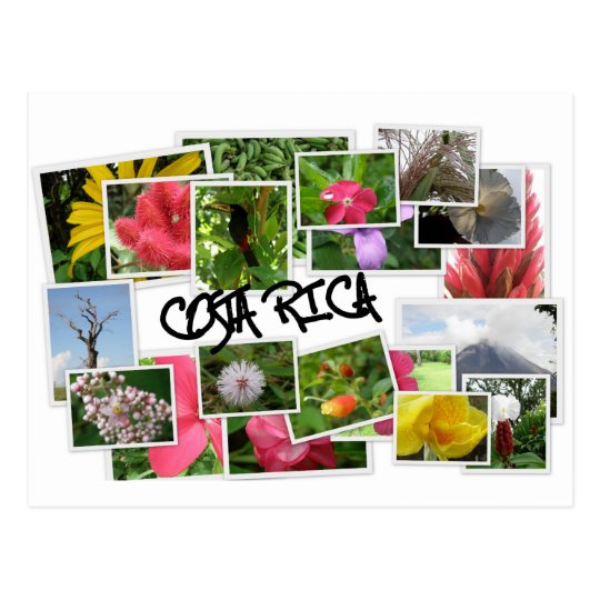 COSTA RICA POSTCARD | Zazzle.com