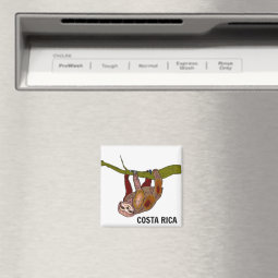 Costa Rica Sloth Magnet | Zazzle