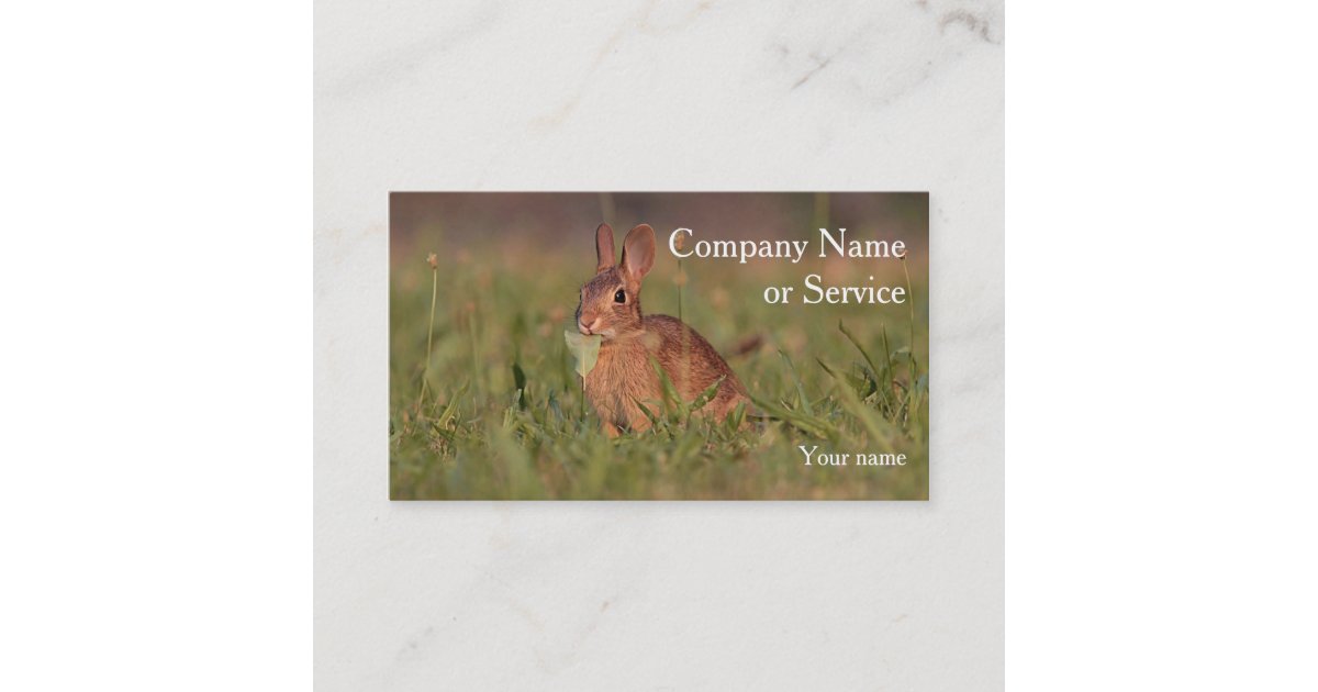 Cottontail rabbit business card | Zazzle