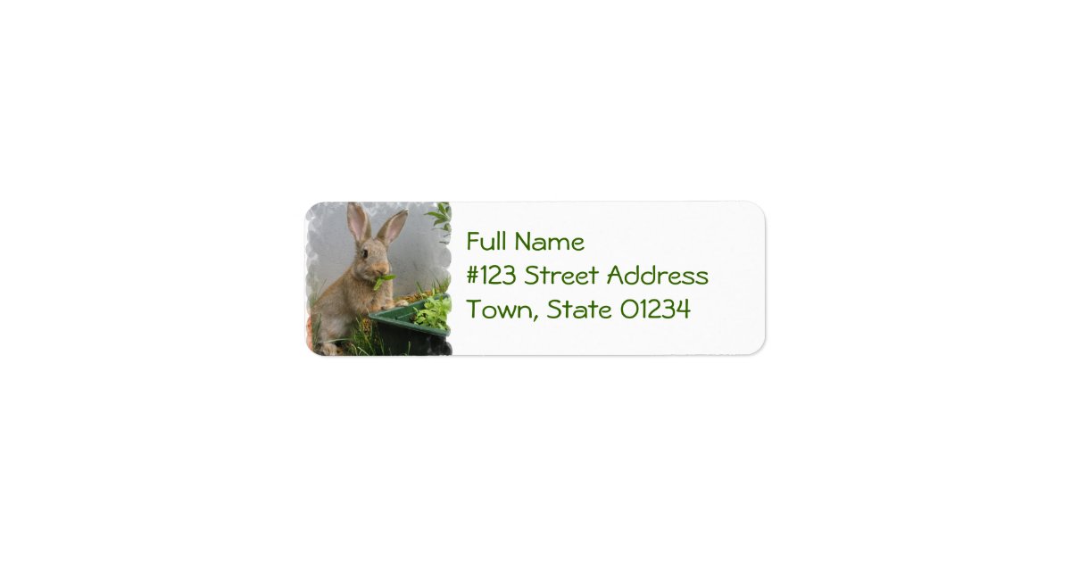 Cottontail Rabbit Mailing Labels | Zazzle
