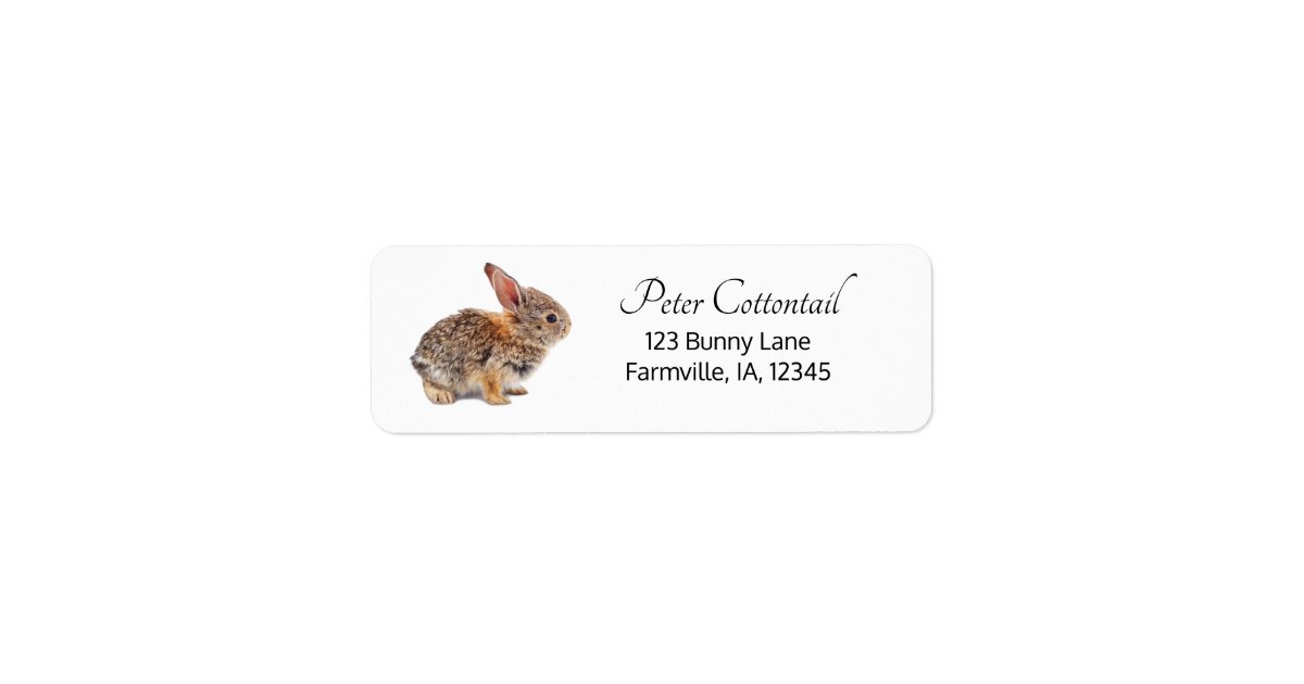 Cottontail Rabbit Return Address Label | Zazzle