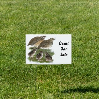 Coturnix Quail Family Yard Sign | Zazzle