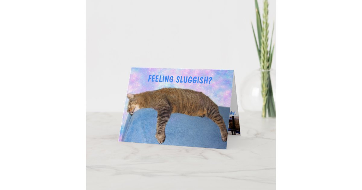 Couch Potato Sluggish Cat Get Well Card | Zazzle