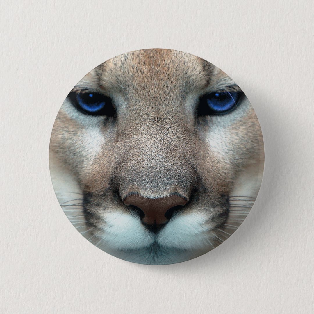 Cougar cub button | Zazzle