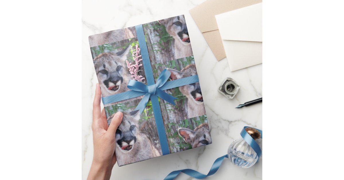 Cougar Cub Wrapping Paper Roll | Zazzle