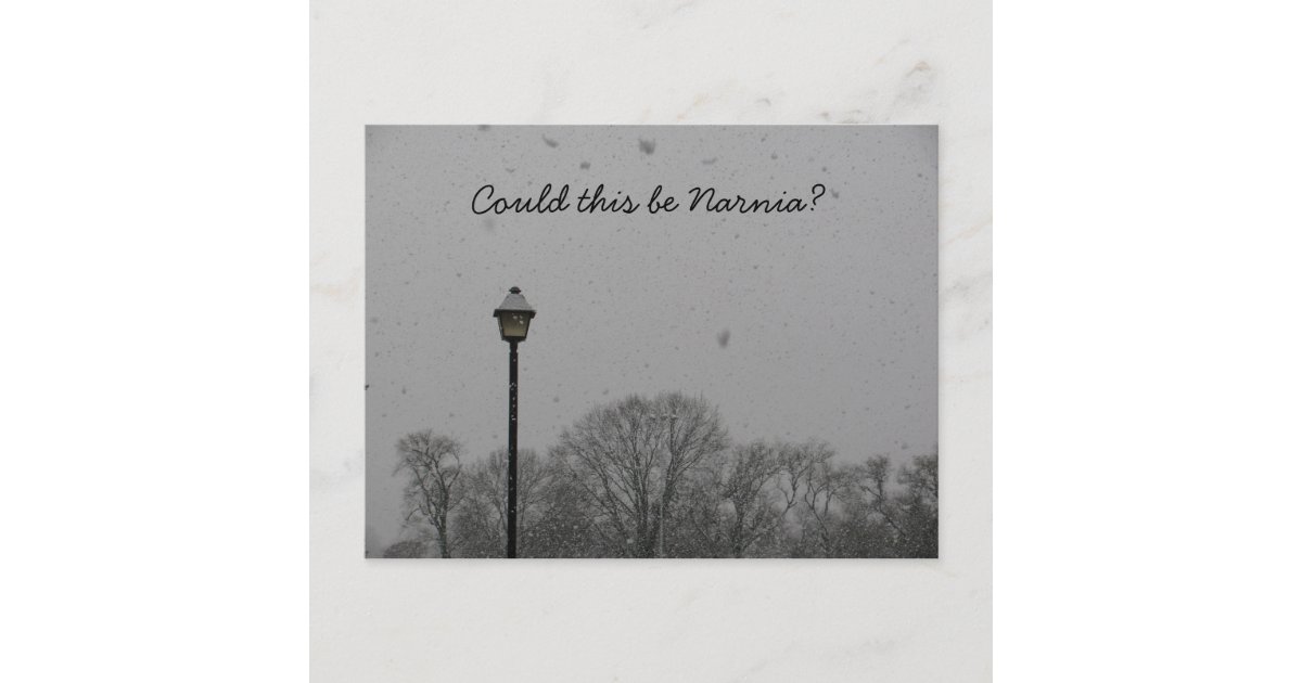 Could this be Narnia? Postcard | Zazzle