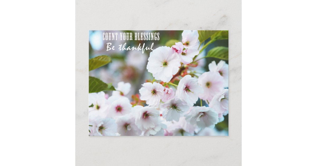Count your blessings postcard | Zazzle