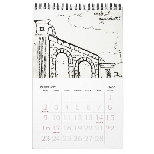 Countdown to Graduation '08 Calendar | Zazzle