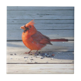 Red Cardinal Ceramic Tiles | Zazzle