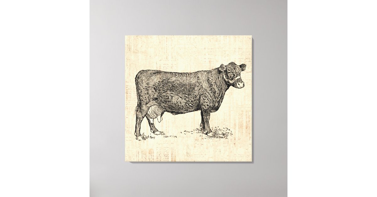 Country Cow Illustrated Art Canvas Print | Zazzle
