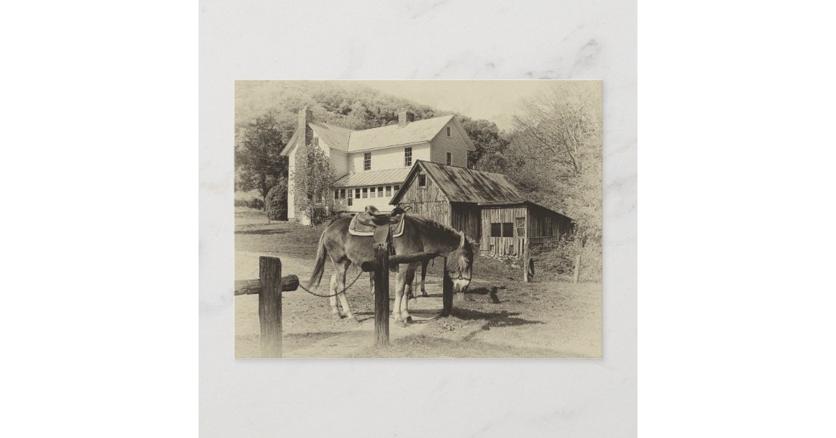 Country Farm Scene Post Card | Zazzle