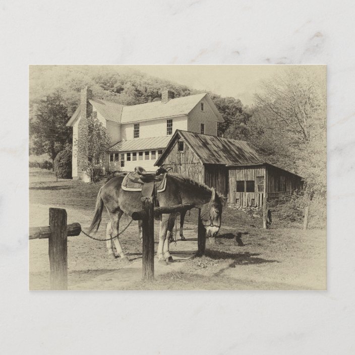 Country Farm Scene Post Card | Zazzle.com