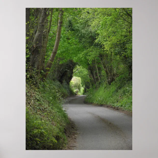 Country Lane Poster | Zazzle