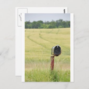 Country Mailbox Postcard | Zazzle
