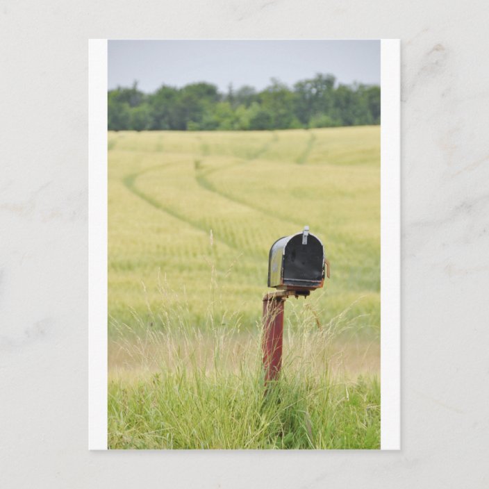 Country Mailbox Postcard | Zazzle.com
