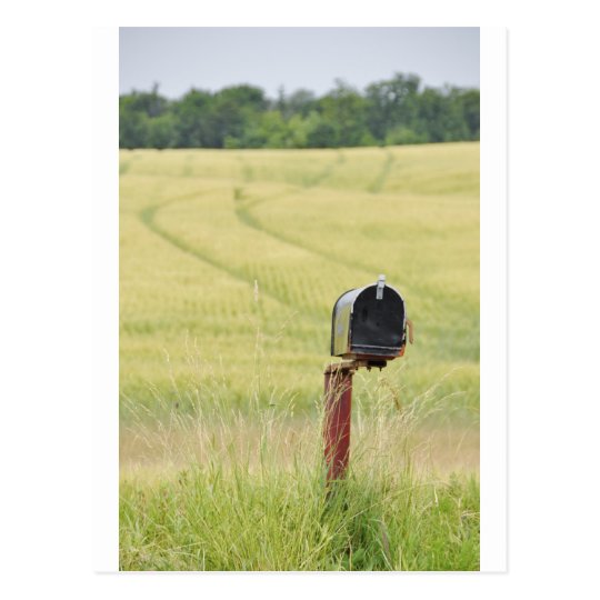Country Mailbox Postcard | Zazzle.com