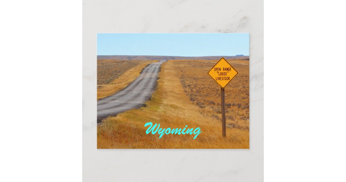 Country Road Open Range Wyoming Postcard | Zazzle