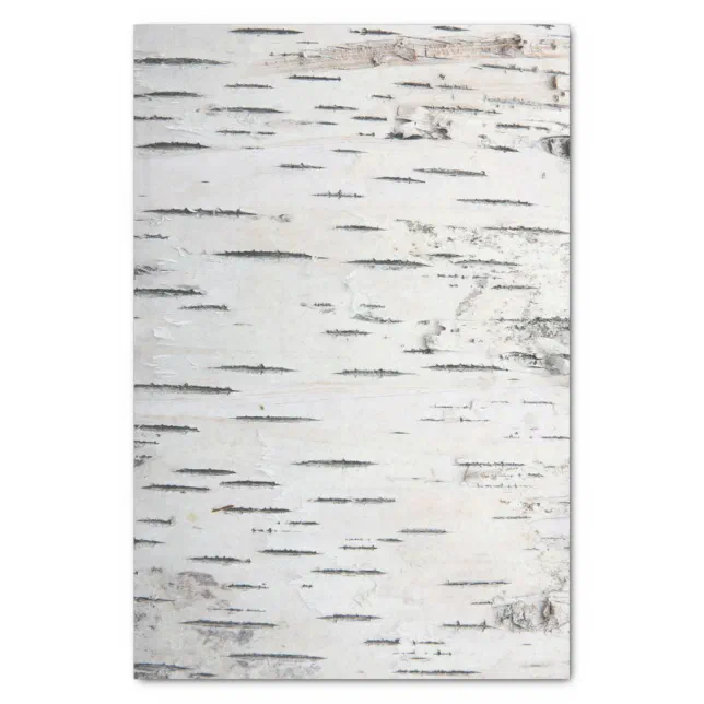 Country Rustic Birch Tree Bark Tissue Paper | Zazzle