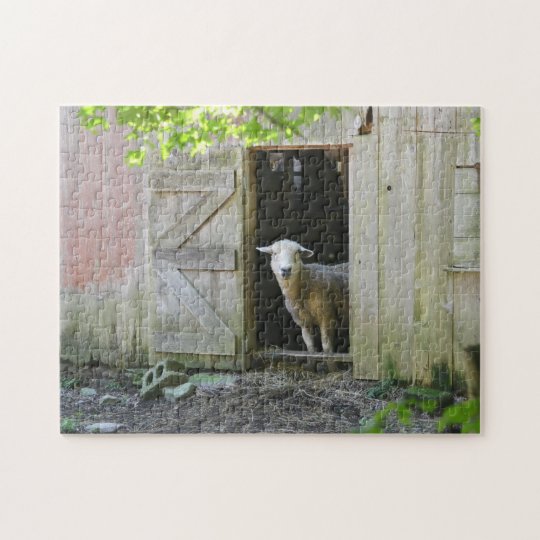 Country Sheep Jigsaw Puzzle | Zazzle.com