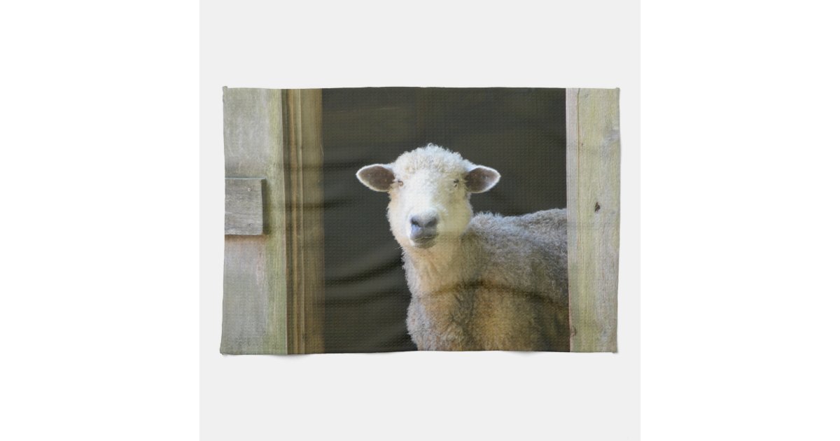Country Sheep Towel | Zazzle