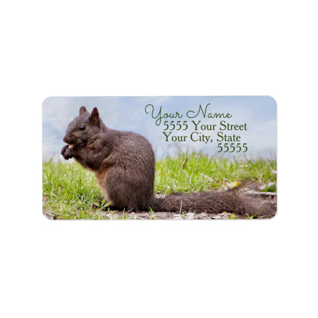 Country Squirrel Return Address Labels | Zazzle