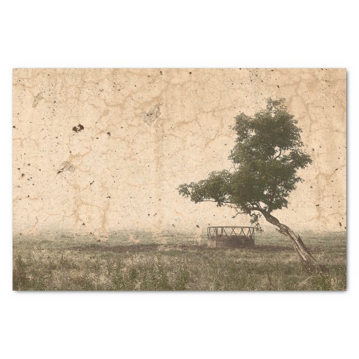 Country Tree Rustic Vintage Antique Beige Farm Tissue Paper | Zazzle