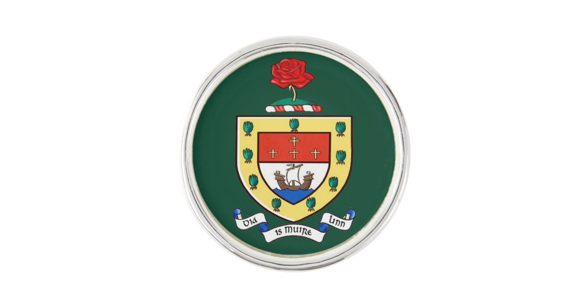 County Mayo Lapel Pin | Zazzle