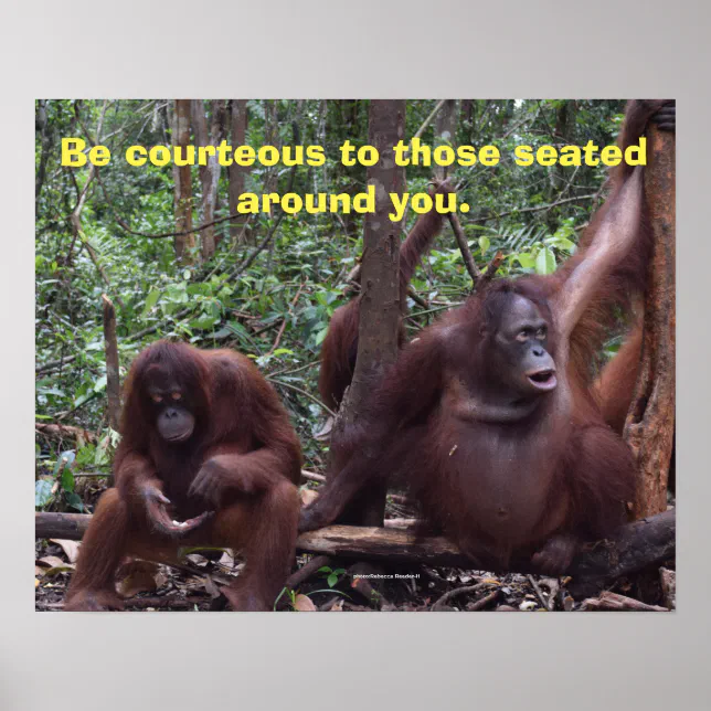 Courtesy in the Classroom Poster | Zazzle