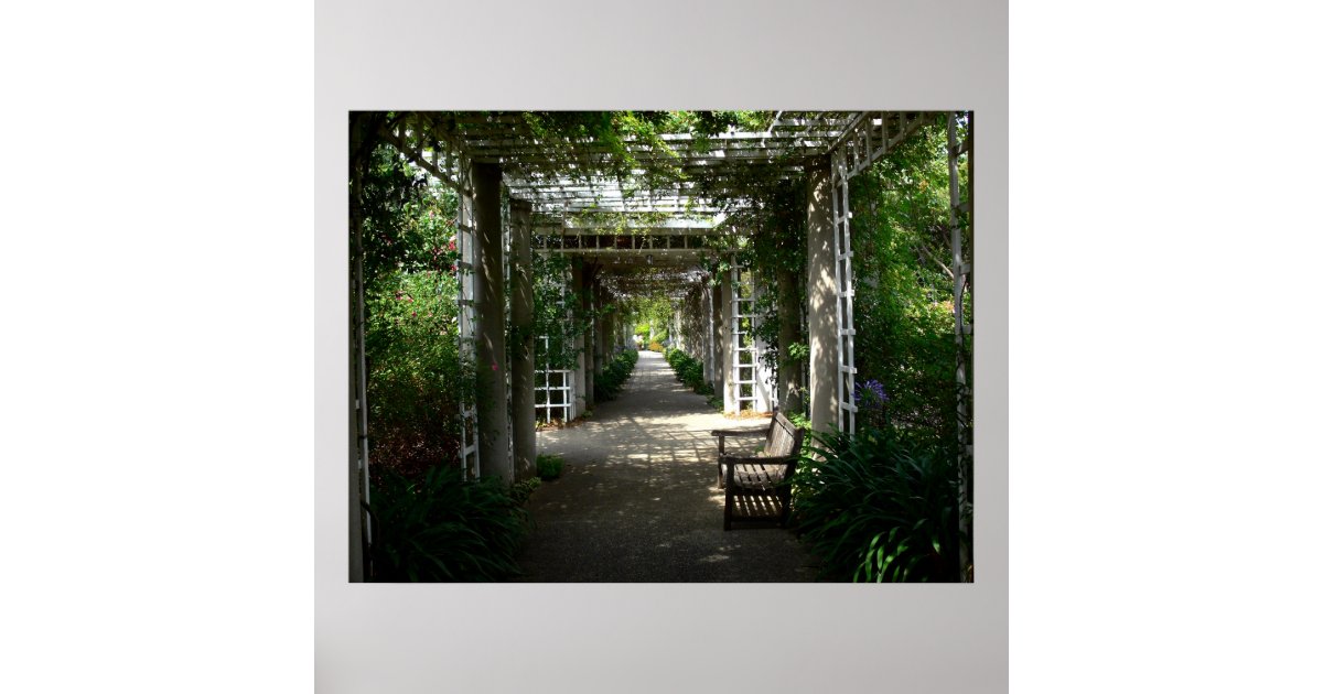 Covered Walkway Poster | Zazzle