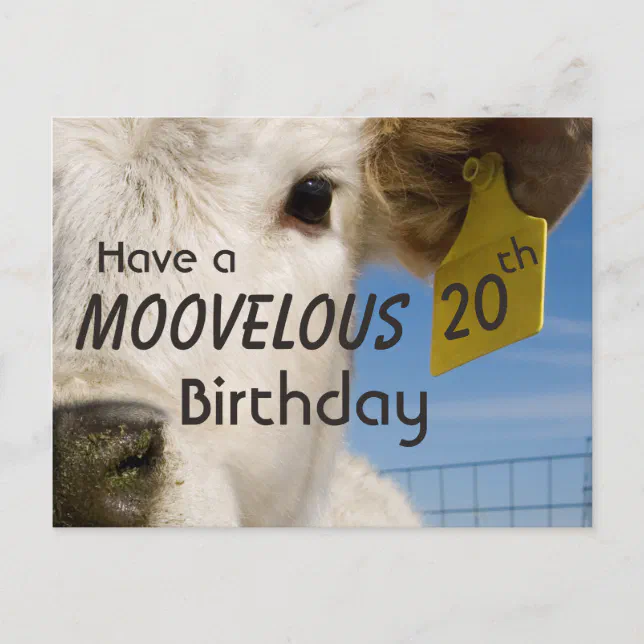 Cow Birthday Number Postcard | Zazzle