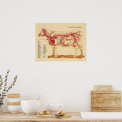 Cow Bovine Veterinary Artery Anatomy Chart | Zazzle