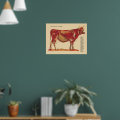 Cow Bovine Veterinary Muscles Anatomy Chart | Zazzle