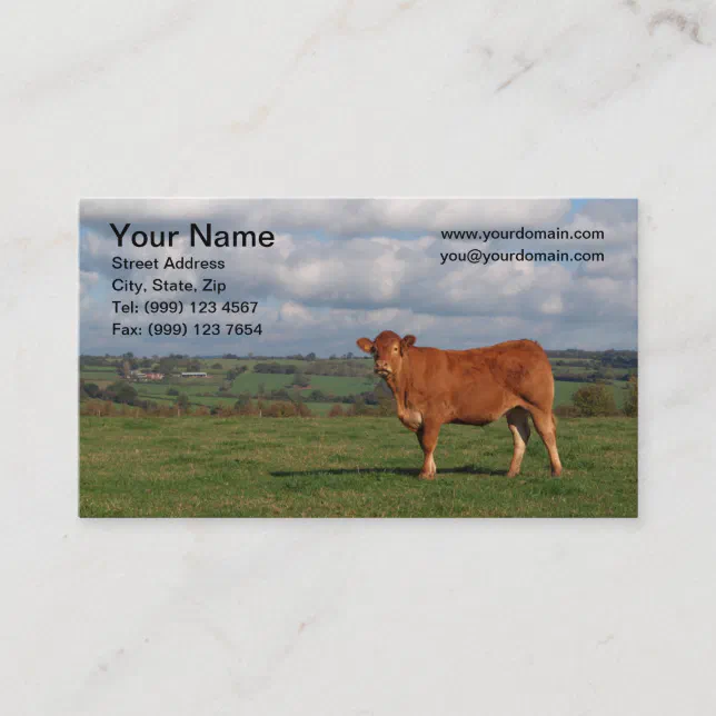 Cow Business Card | Zazzle