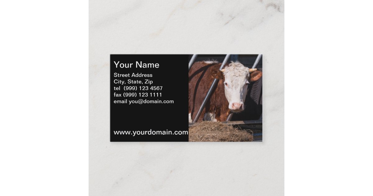 cow business card | Zazzle