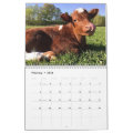 Cow Calendar | Zazzle