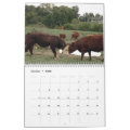 Cow Calendar | Zazzle