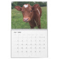 Cow Calendar | Zazzle
