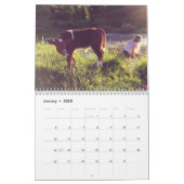 Cow Calendar | Zazzle