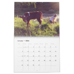 Cow Calendar | Zazzle
