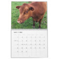 Cow Calendar | Zazzle