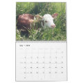 Cow Calendar | Zazzle