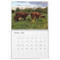 Cow Calendar | Zazzle