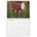 Cow Calendar | Zazzle