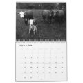 Cow Calendar | Zazzle