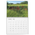 Cow Calendar | Zazzle