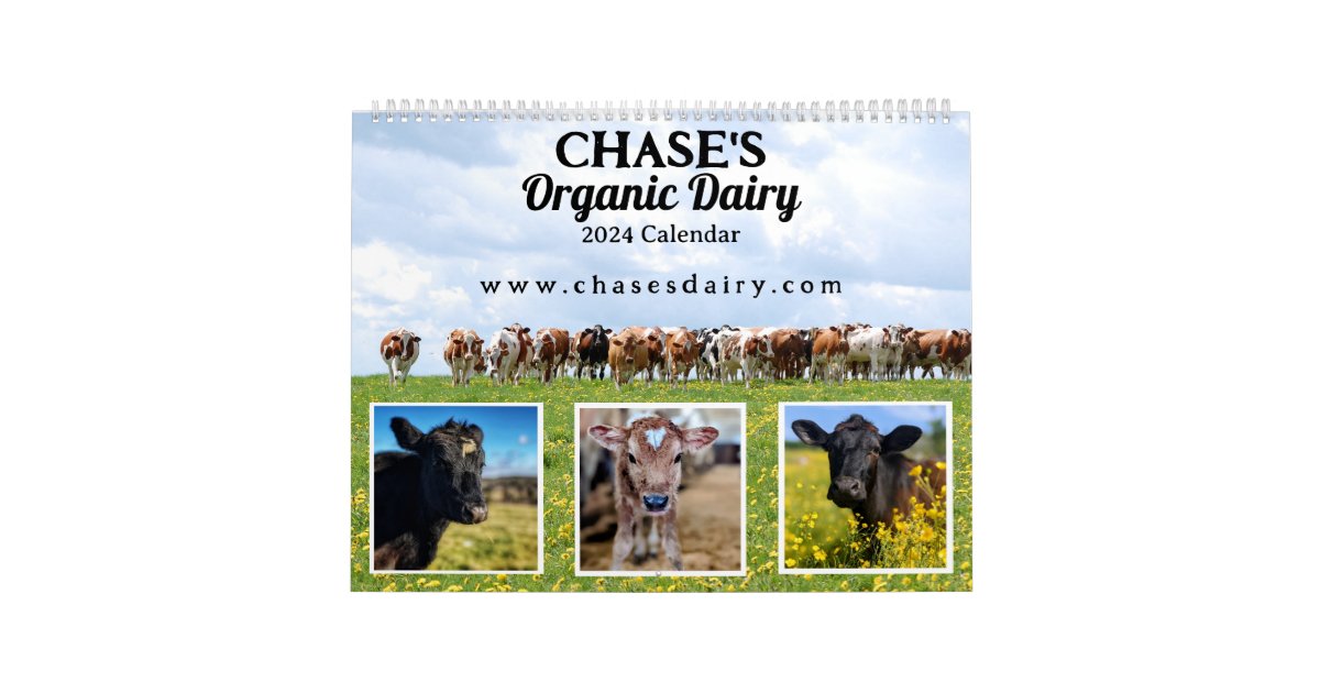 Cow Calendar from Chase's Organic Dairy | Zazzle